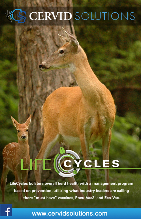 cervidsolutions.com | Evolve Your Herd